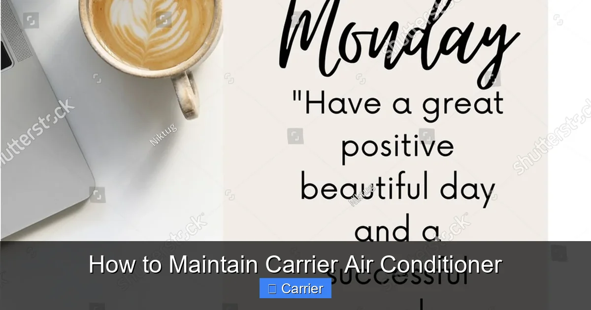 How to Maintain Carrier Air Conditioner - Air Conditioner