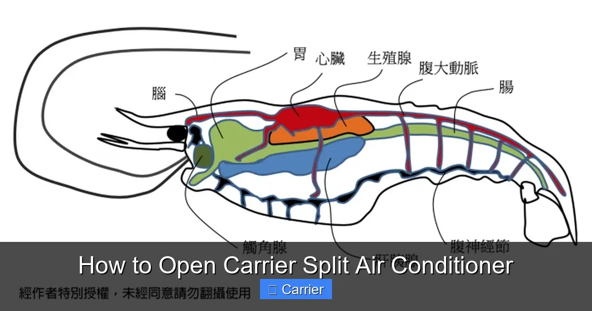 How to Open Carrier Split Air Conditioner - Air Conditioner