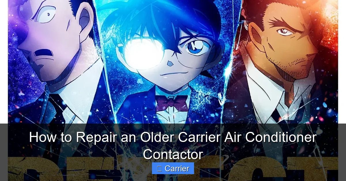 How to Repair an Older Carrier Air Conditioner Contactor - Air Conditioner