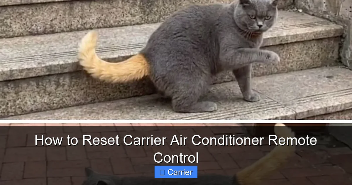 How to Reset Carrier Air Conditioner Remote Control - Air Conditioner