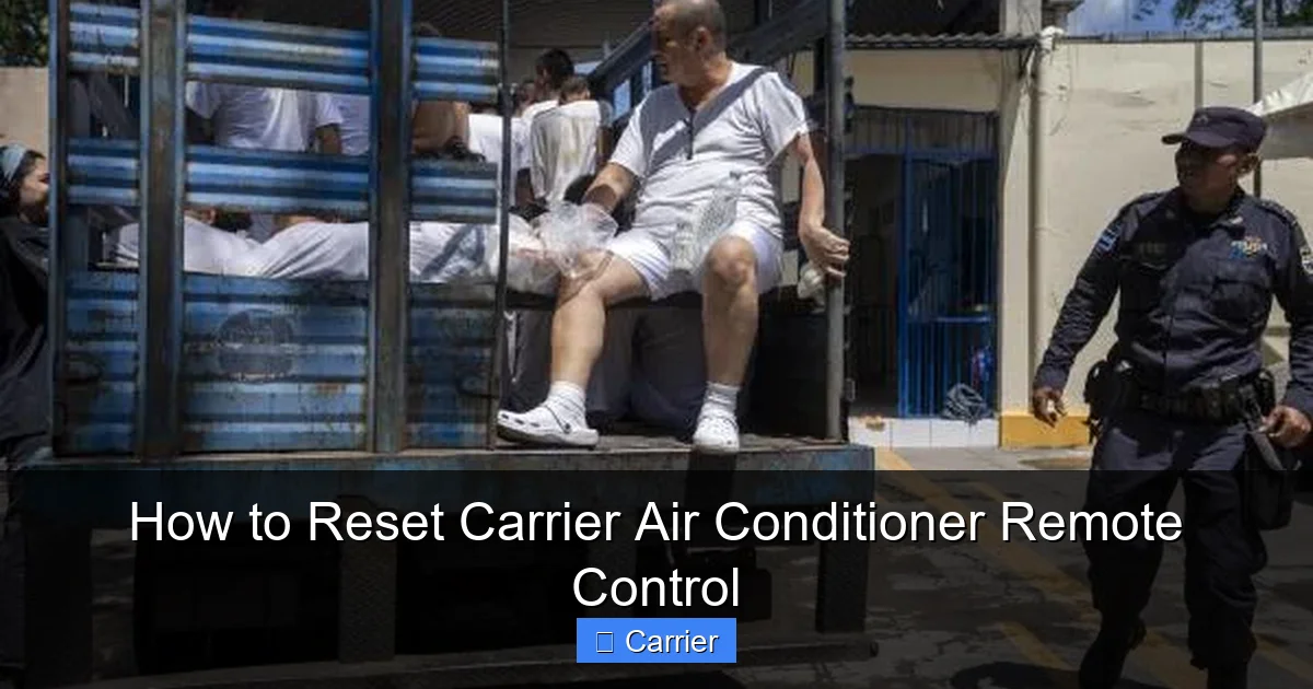 How to Reset Carrier Air Conditioner Remote Control - Air Conditioner